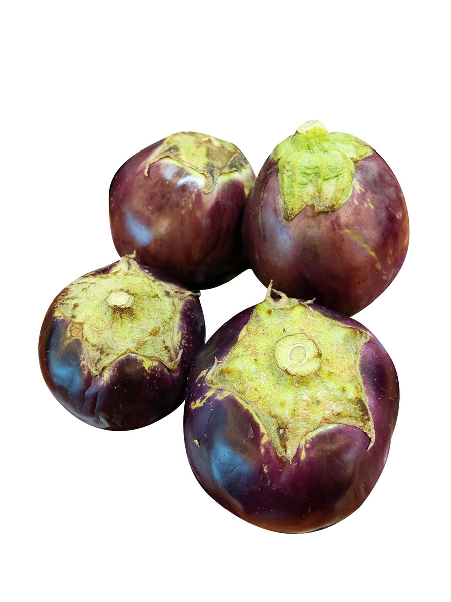 ROUND BRINJAL (TERUNG BULAT) +/- 250G – Village Grocer - Paradigm Mall ...